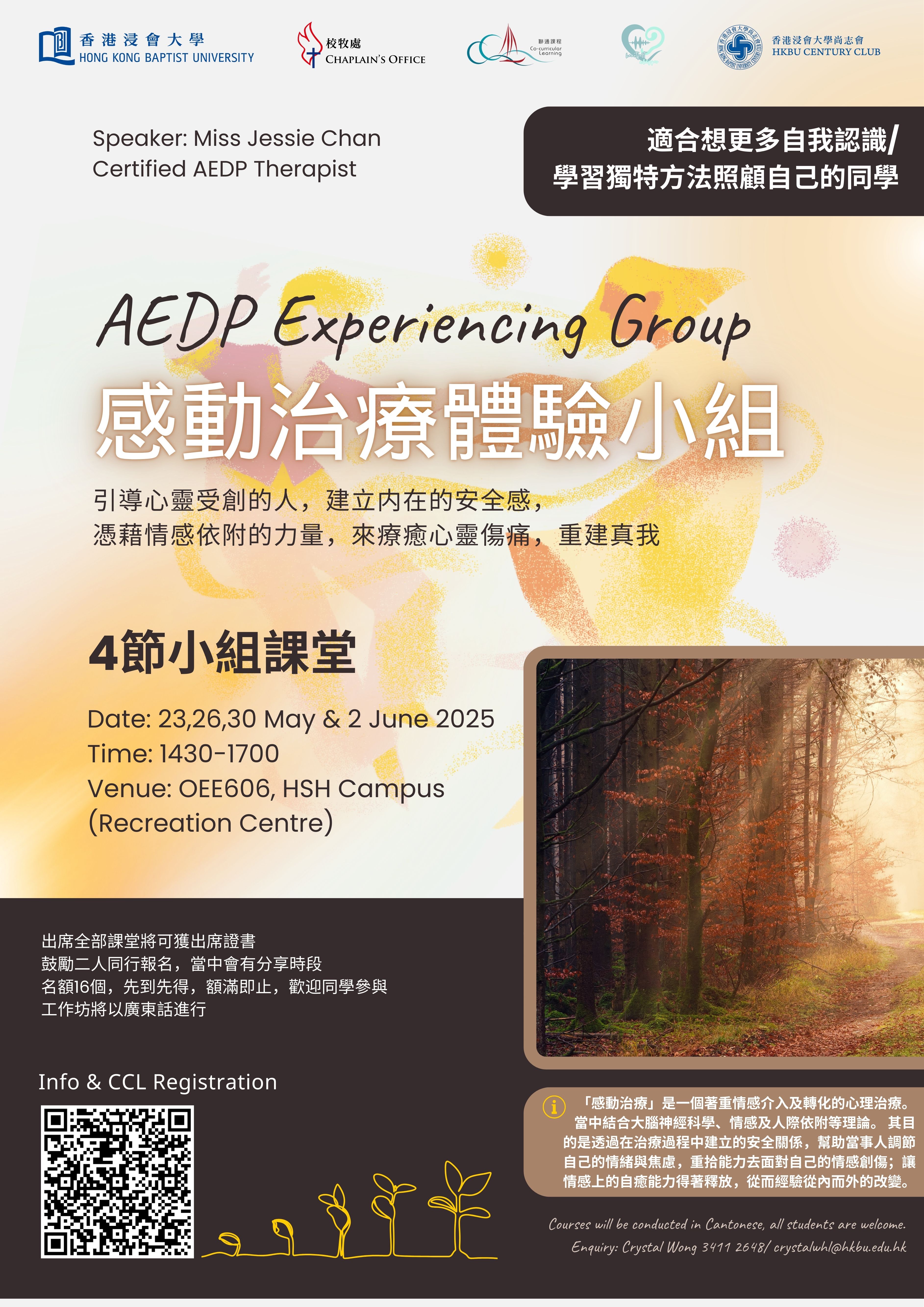 AEDP (Accelerated Experiential Dynamic Psychotherapy) Experiencing Group